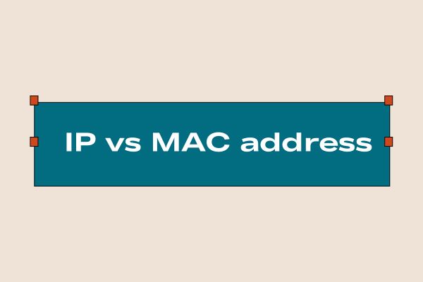 IP Address vs. MAC Address: What’s the Difference? - Learn With Examples